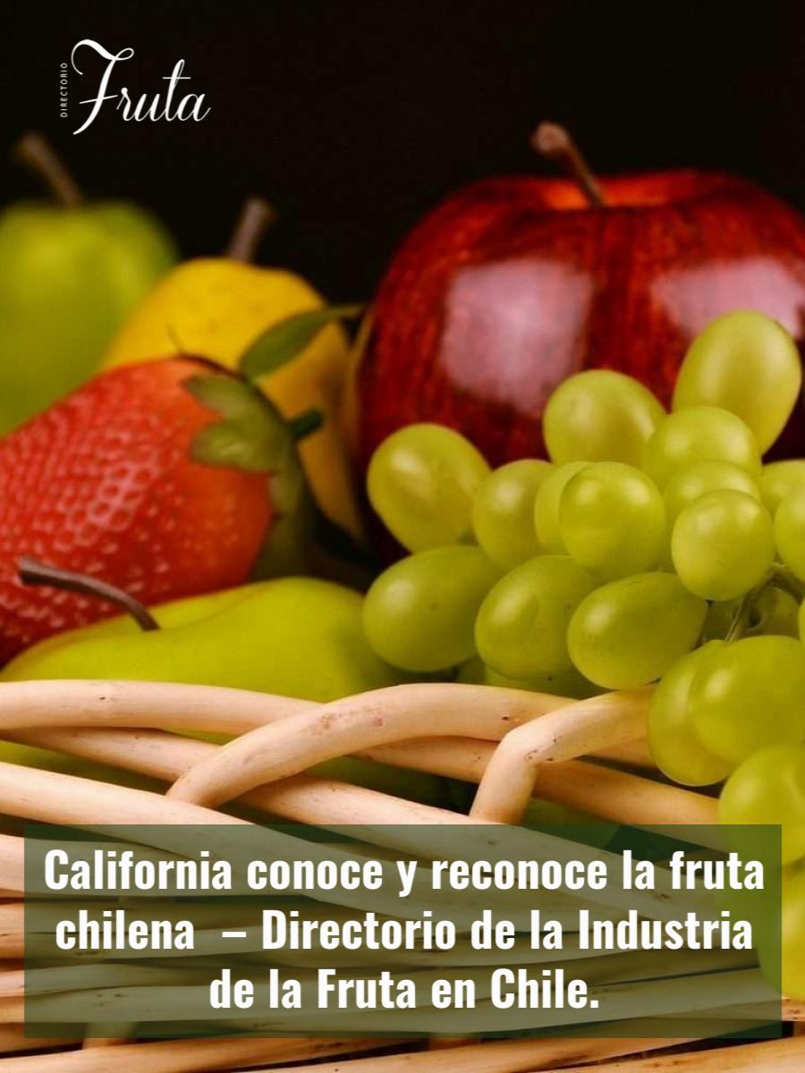 California conoce y reconoce la fruta chilena – Directorio de la ...