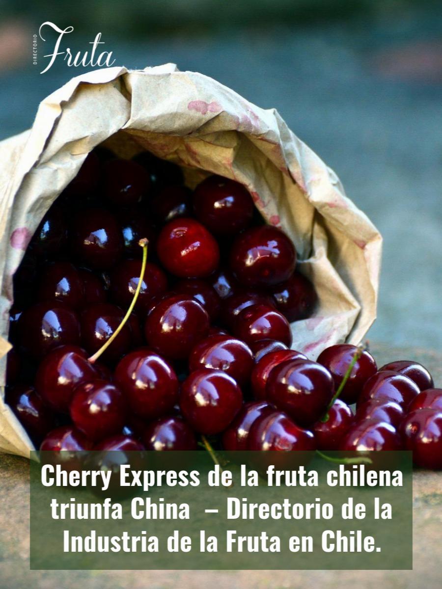 Cherry Express de la fruta chilena triunfa China – Directorio de la ...