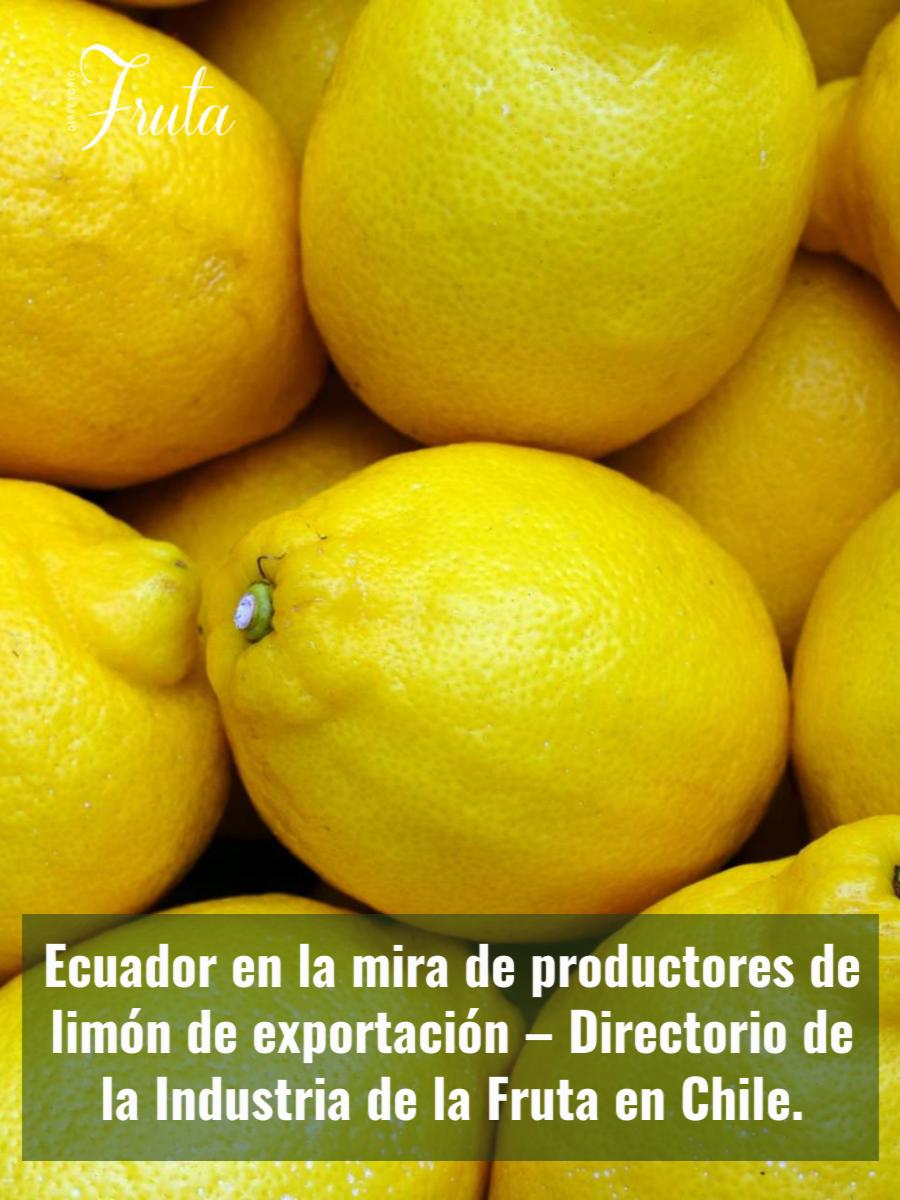 Ecuador en la mira de productores de limón de exportación – Directorio ...
