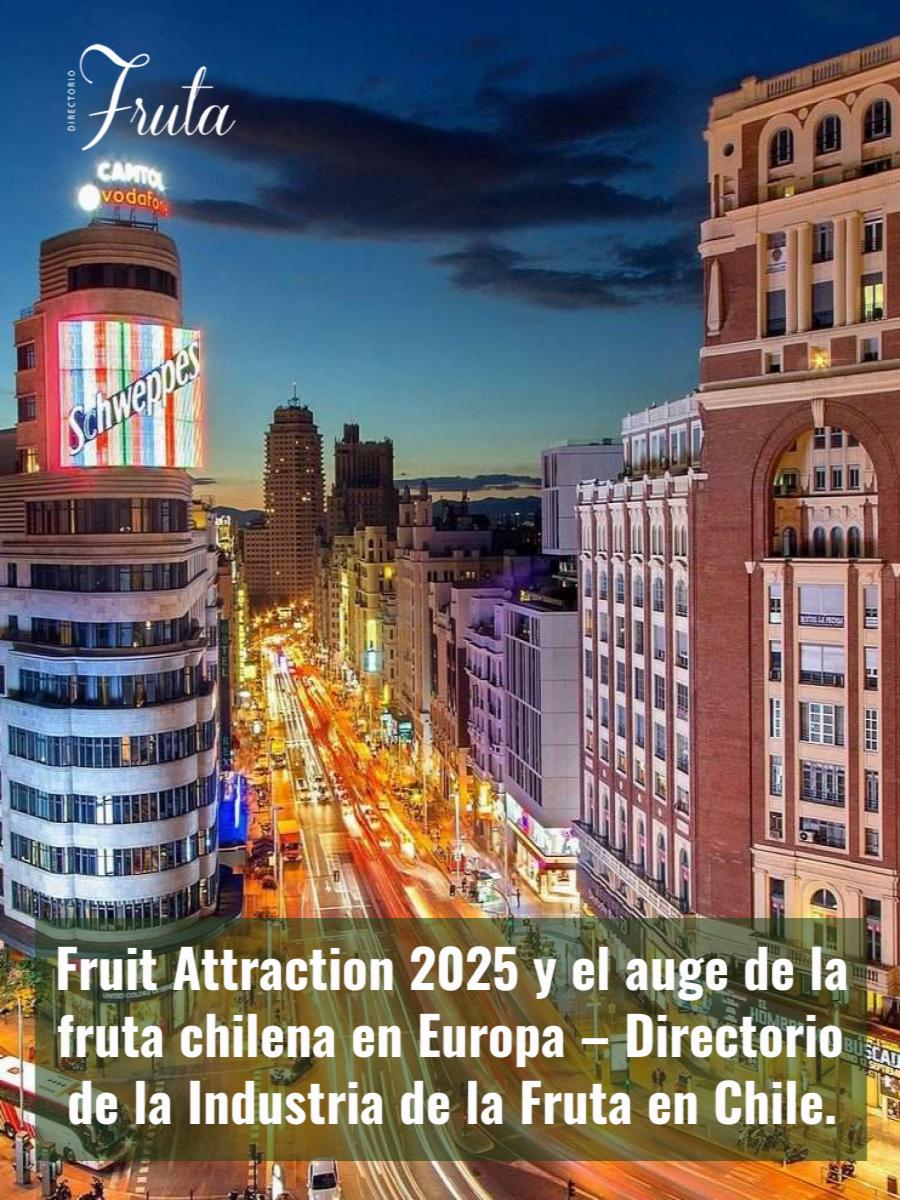 Fruit Attraction 2025 y el auge de la fruta chilena en Europa ...