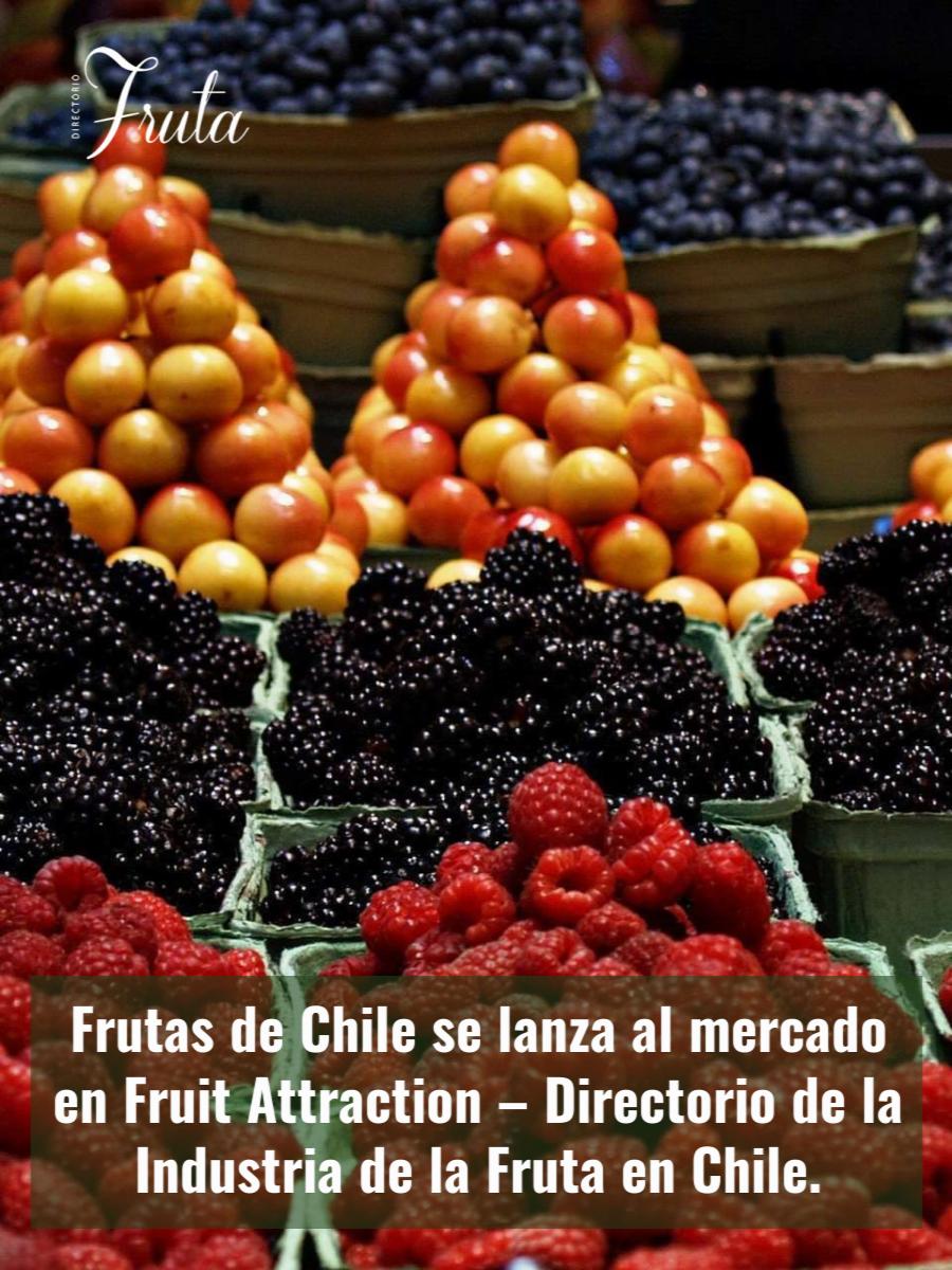 Frutas de Chile se lanza al mercado en Fruit Attraction – Directorio de ...