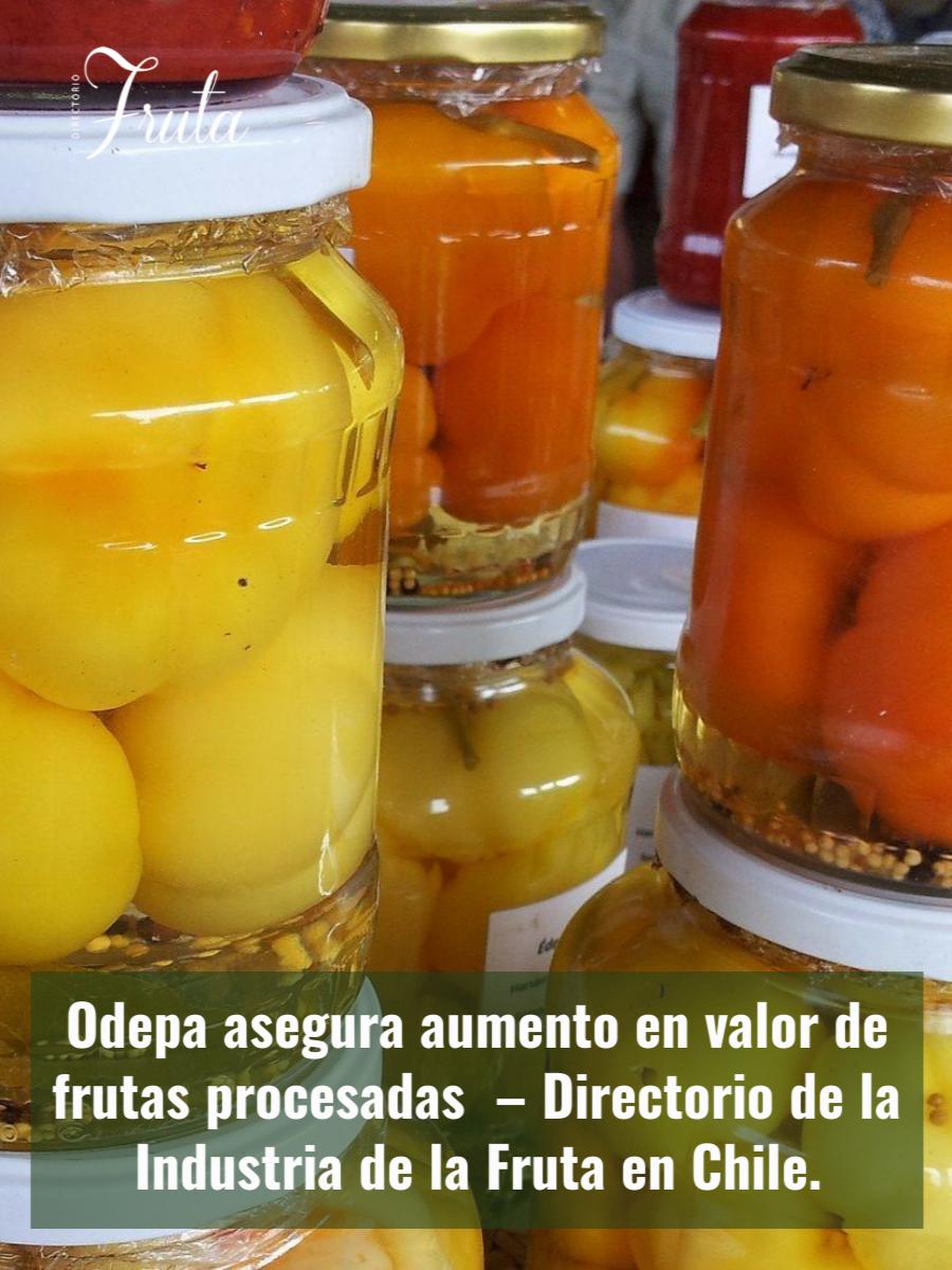 Odepa asegura aumento en valor de frutas procesadas – Directorio de la ...