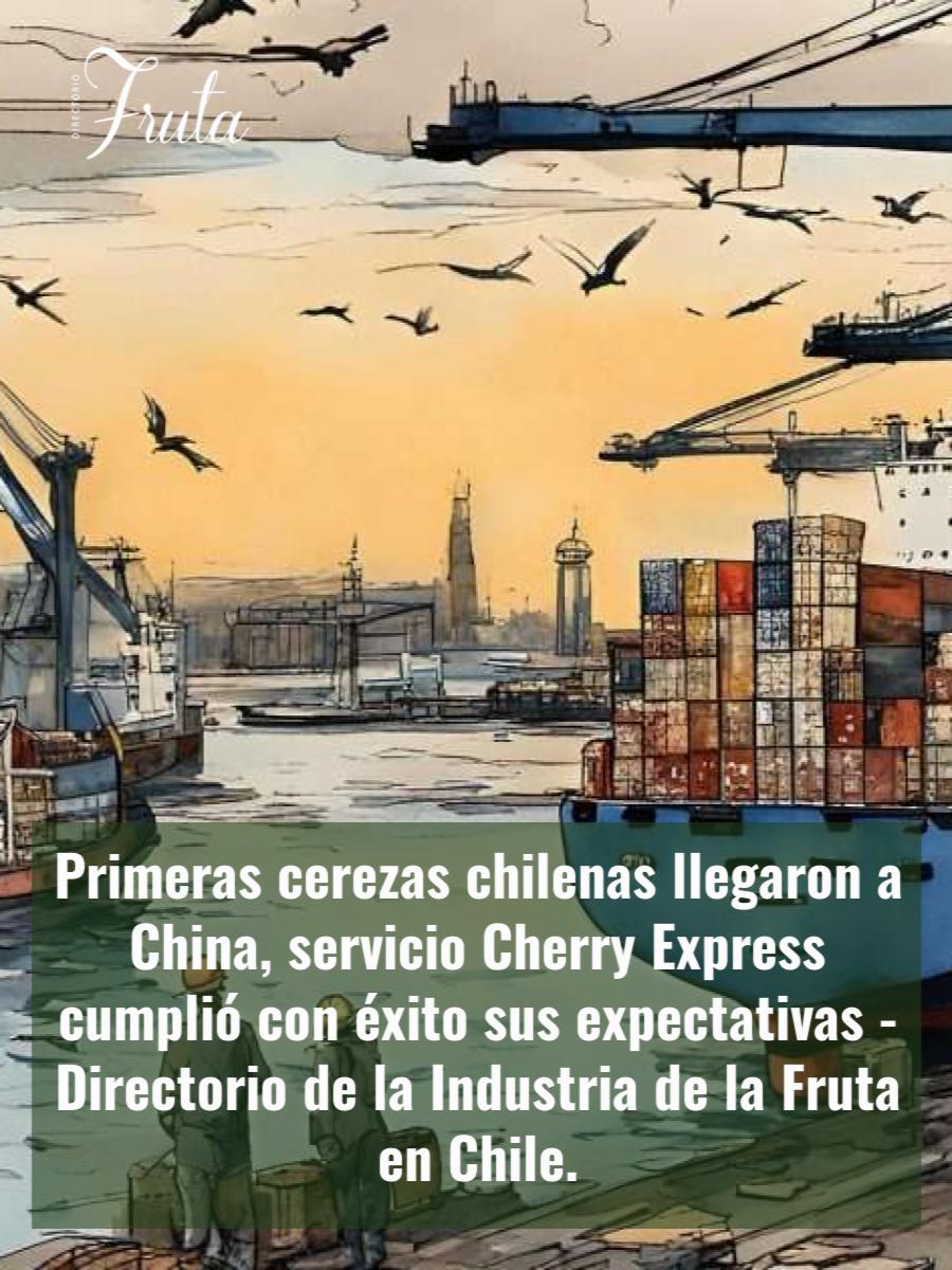 Primeras cerezas chilenas llegaron a China, servicio Cherry Express ...