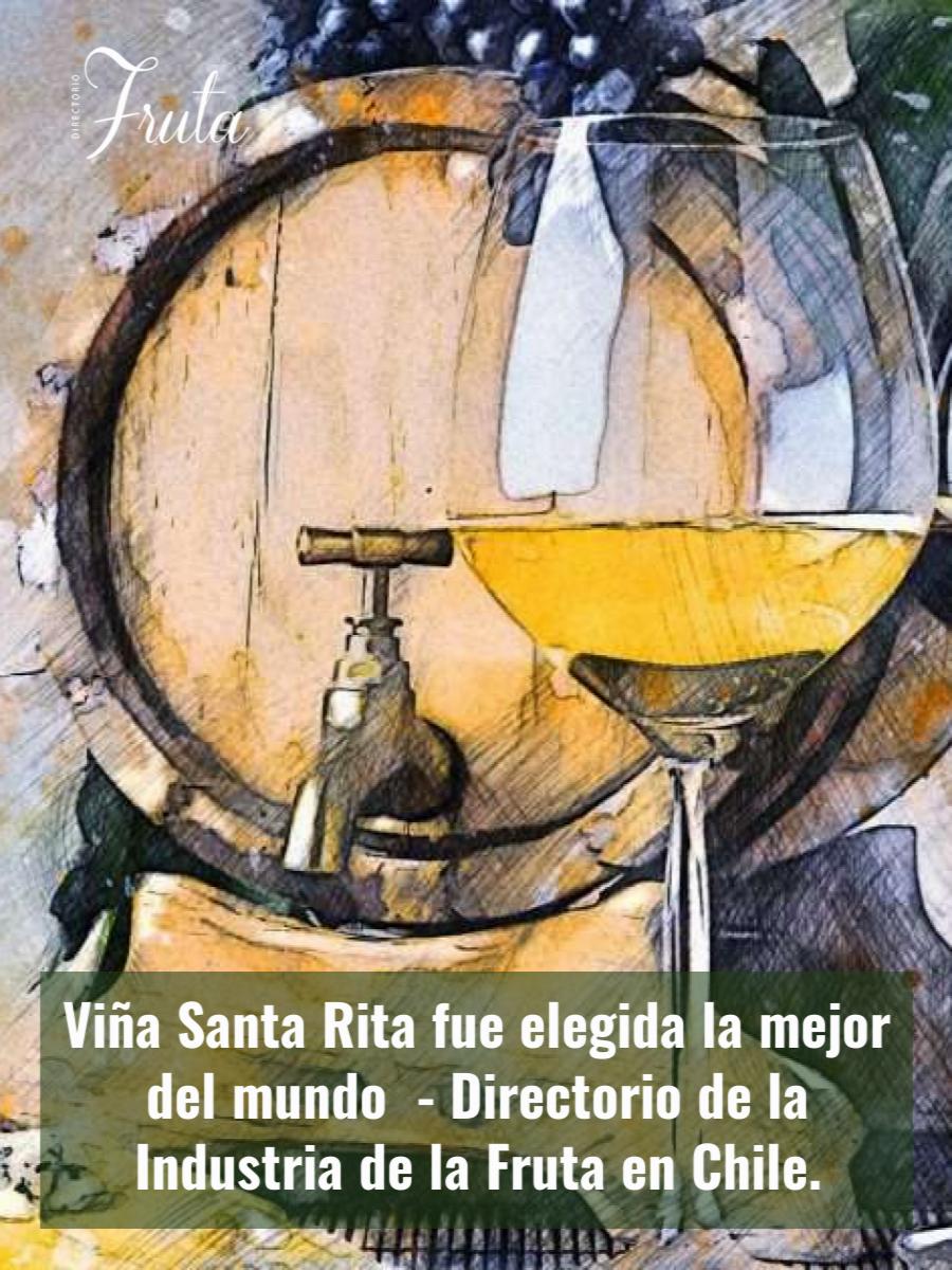 Viña Santa Rita fue elegida la mejor del mundo – Directorio de la ...