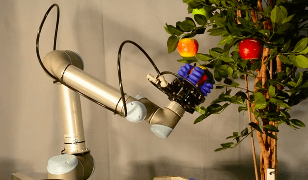 Robot agricultor recoge la fruta del árbol – DirectorioFruta.cl
