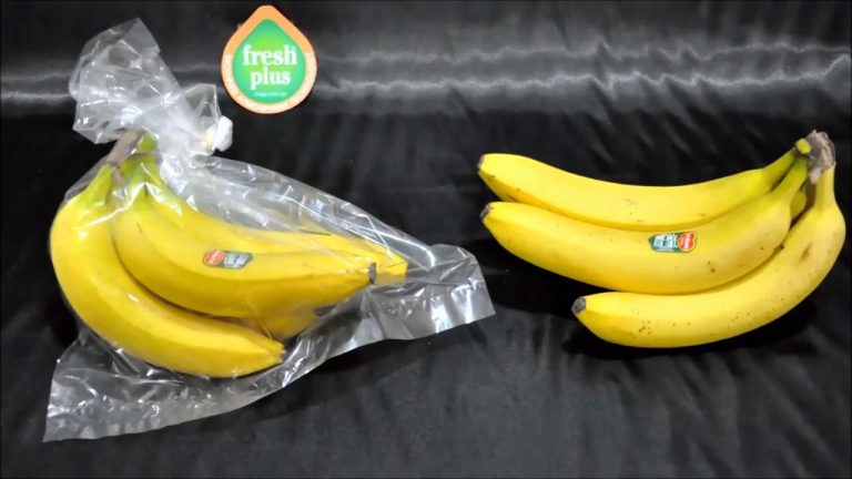 Atmósfera modificada para exportación de frutas frescas, vegetales y ...