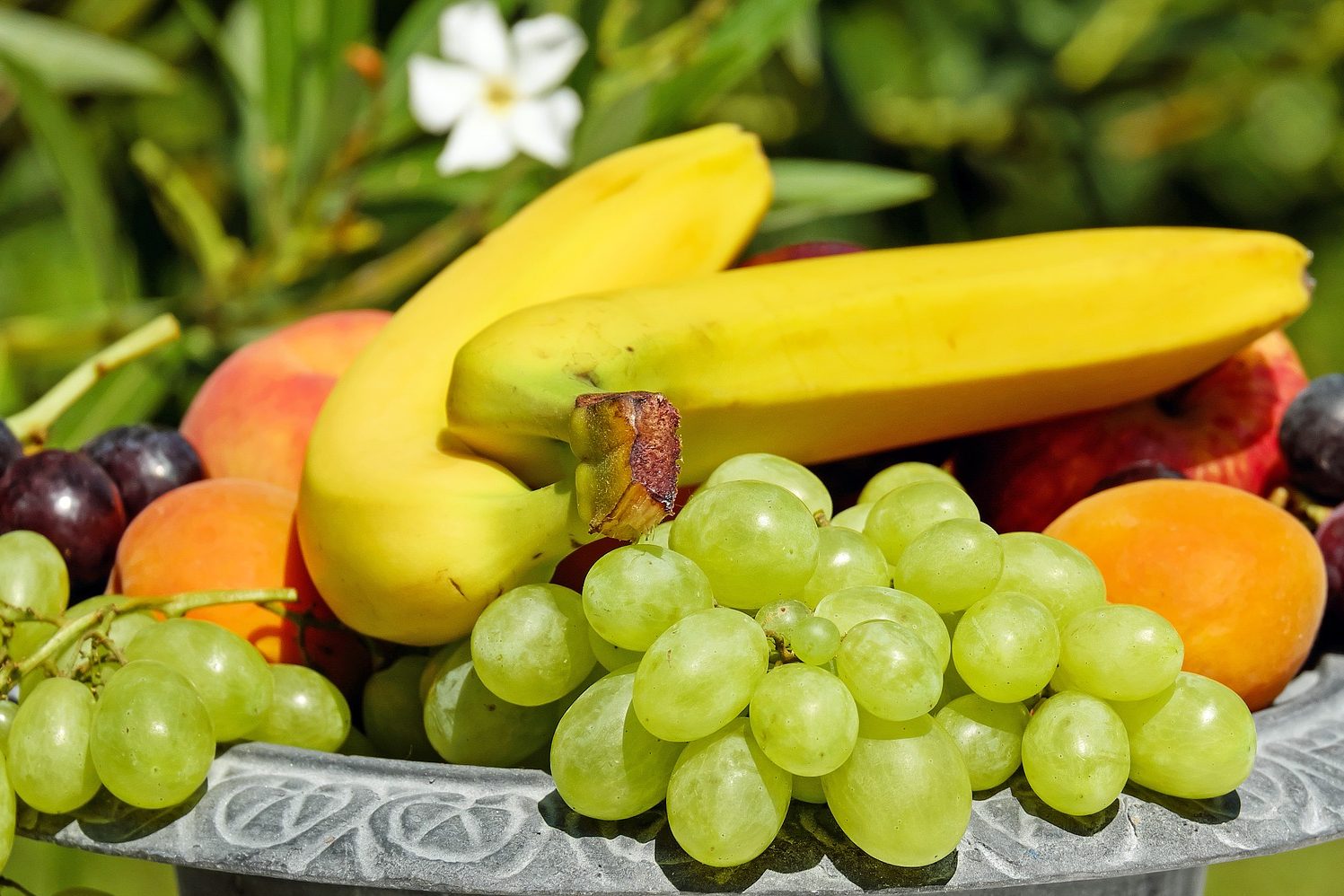 'Mantener al mundo abastecido'; lema del 1er Congreso virtual de la ...