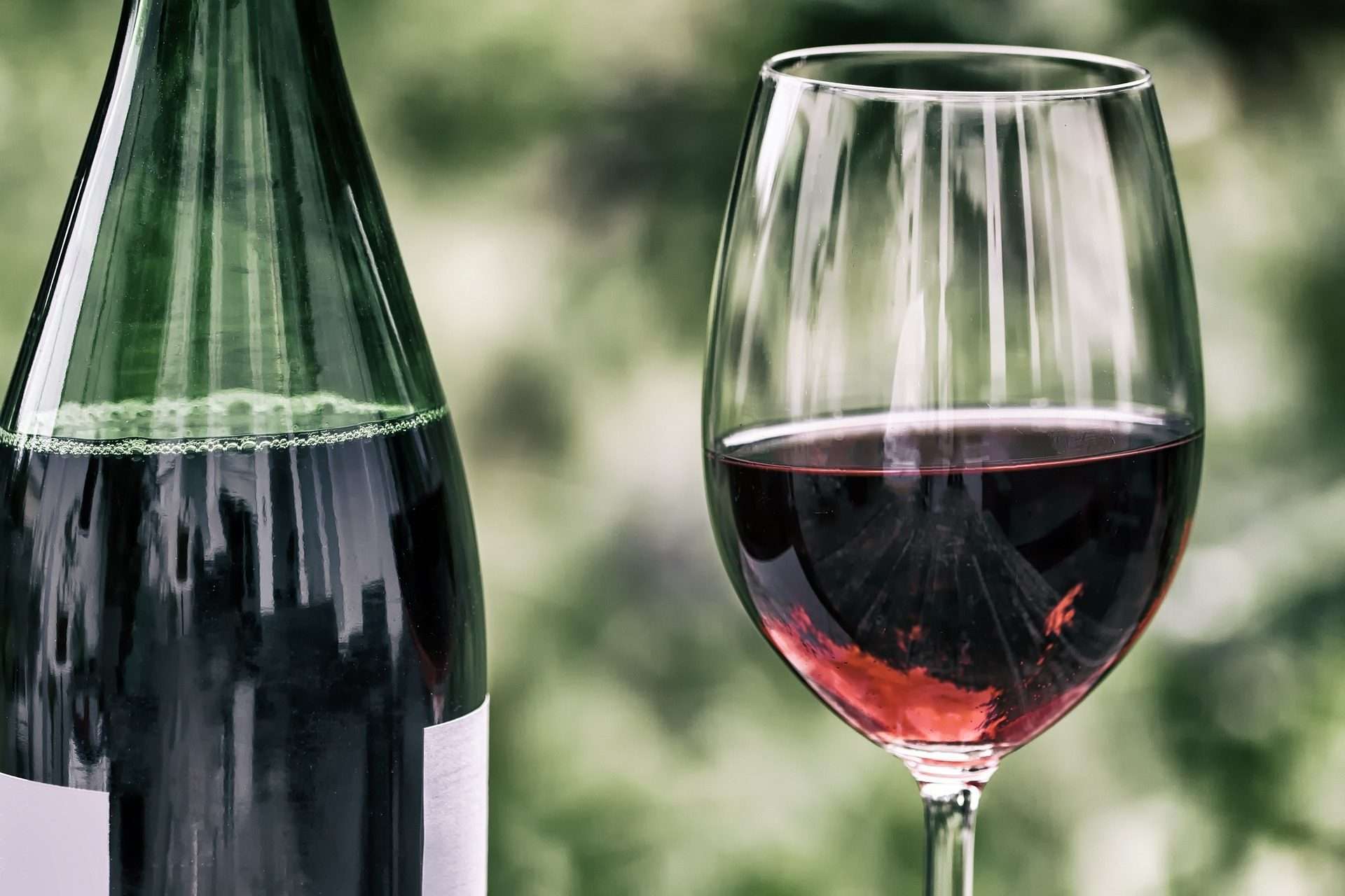 Wine Stars Awards reconoce a Viña Matetic como “Bodega del Nuevo Mundo ...